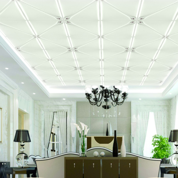 3D Ceiling Designs with 3D ceiling panels.