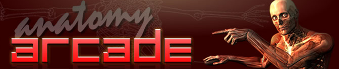 Anatomy Arcade - Interactive Games and Resources About the Human Body ...