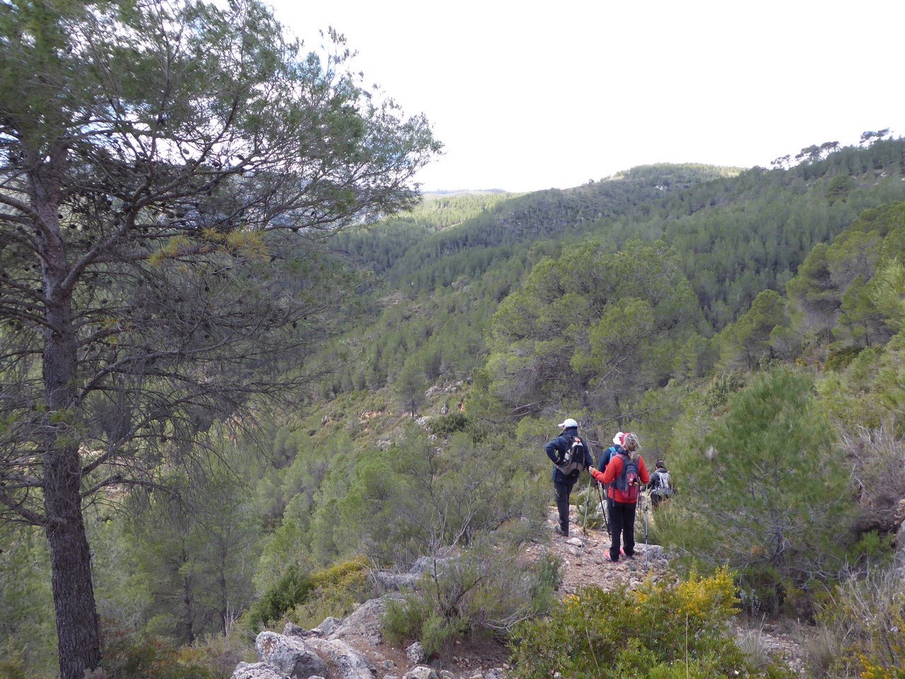 2018 - 03 Tabarla y río Magro A+ 383 m / 12,34 km | Pa_Blog Senderismo ...
