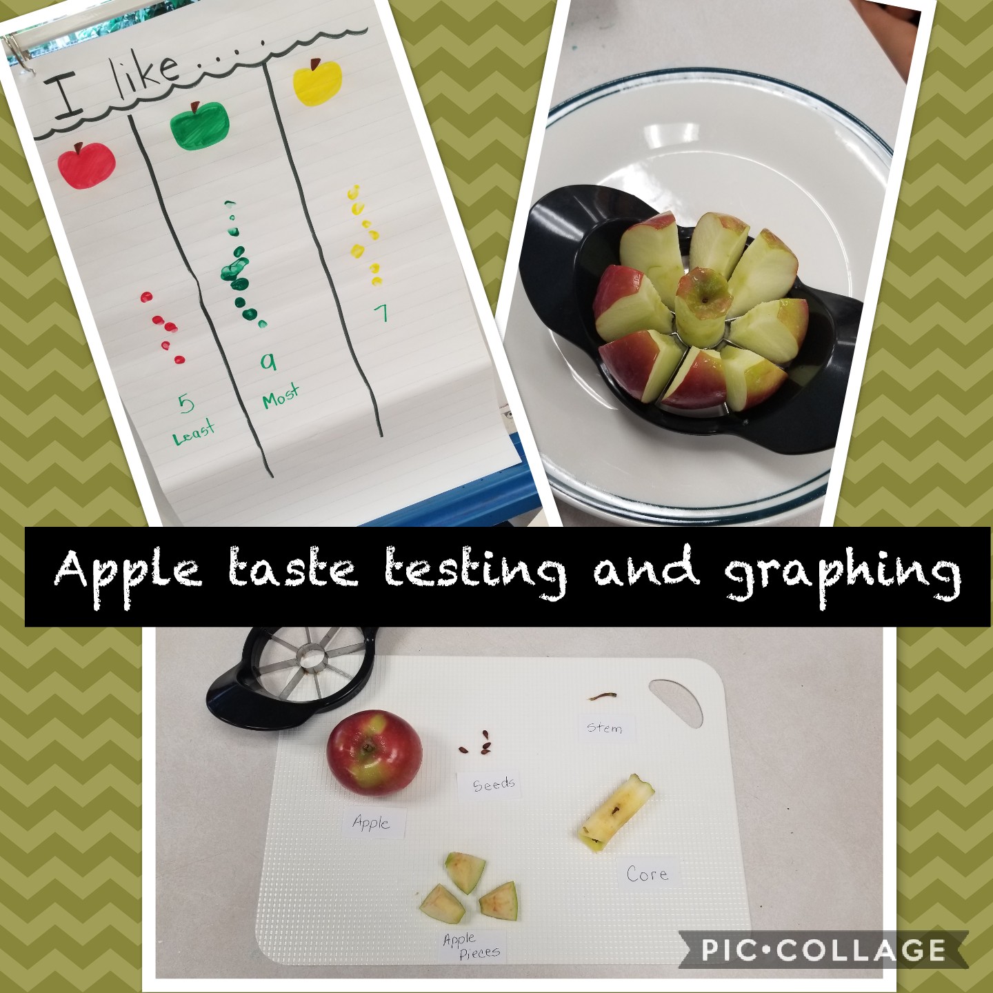 Mrs. Bellem's Kinder Space: Apple Taste Testing