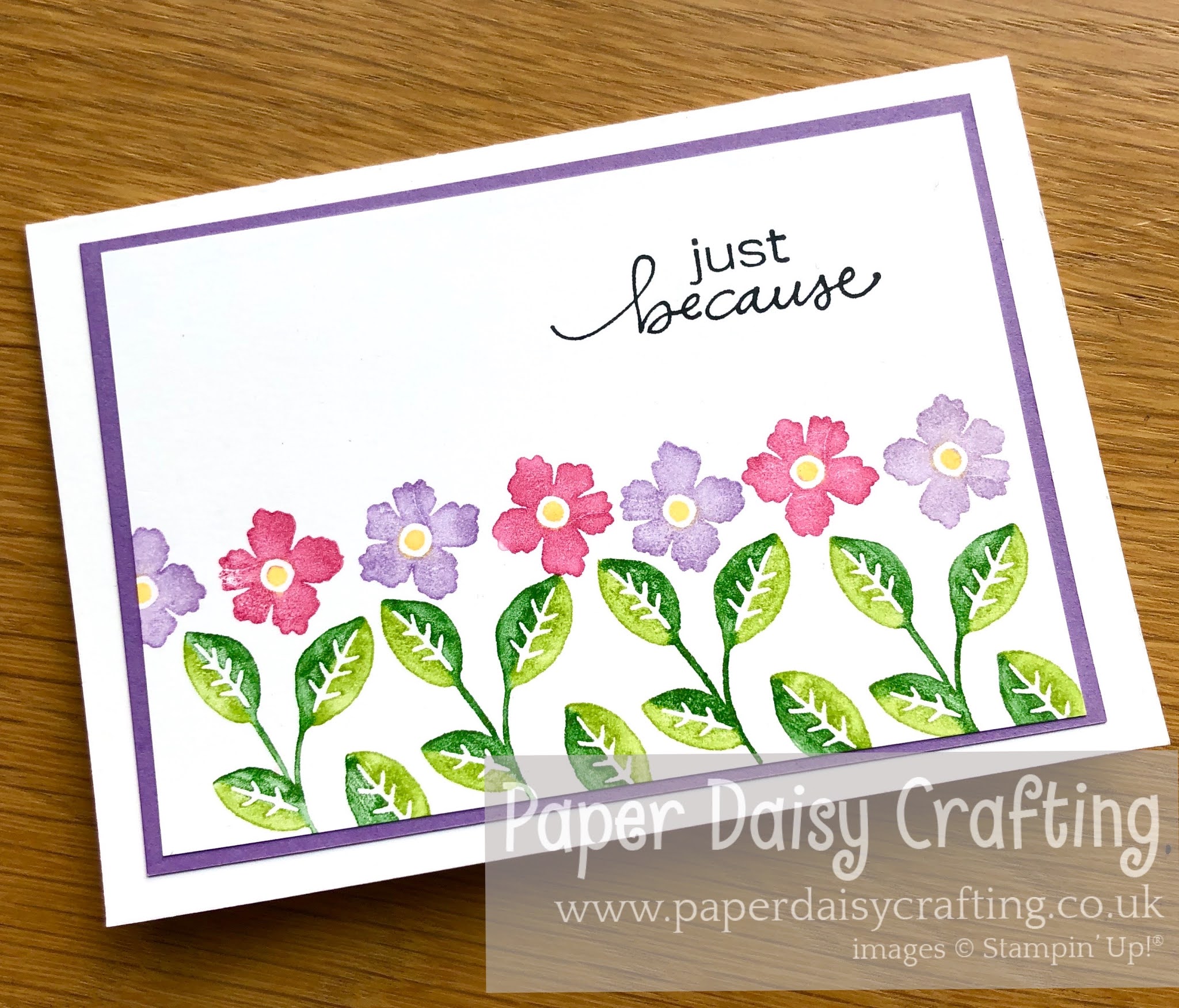 Paper Daisy Crafting: #9 Card Making for Beginners - Using Stampin ...