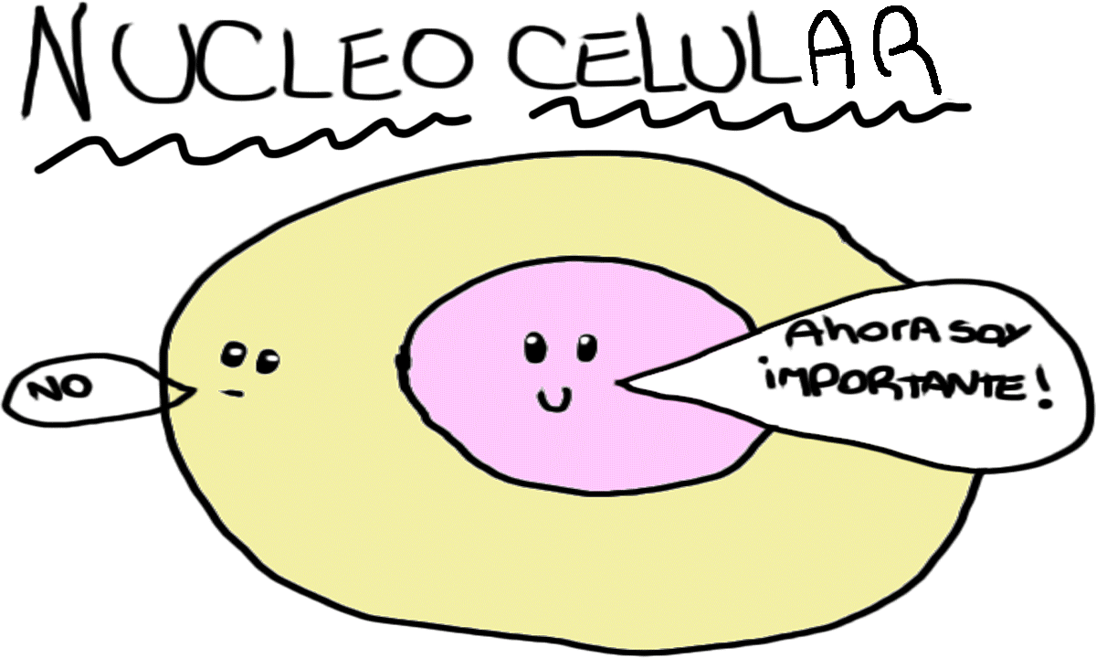 Biología Celular: Núcleo Celular