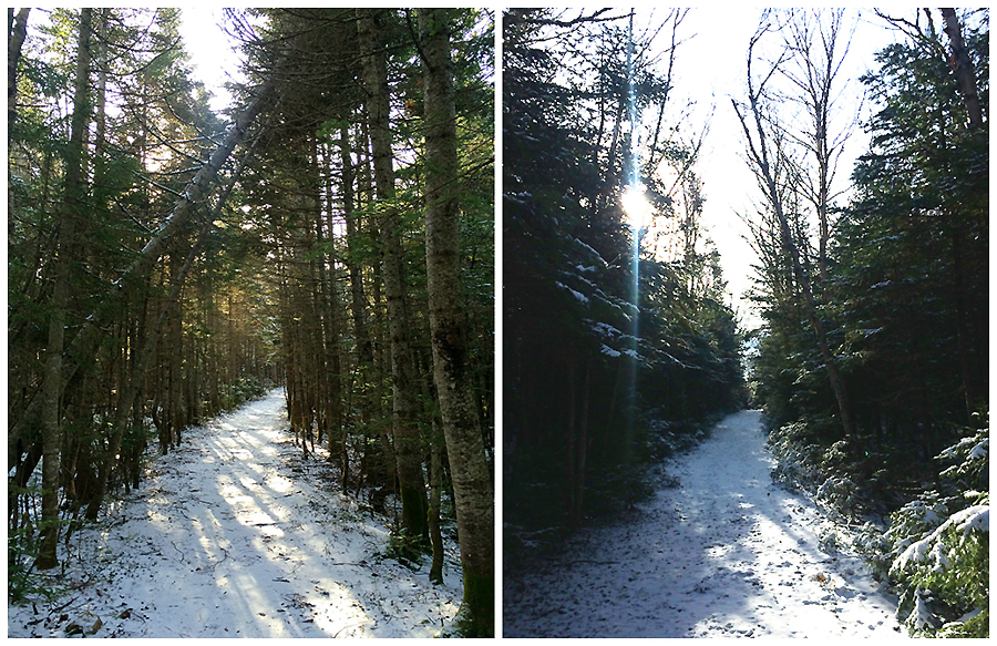 Hiking in the White Mountains: Livermore Pass and the Old Town of ...