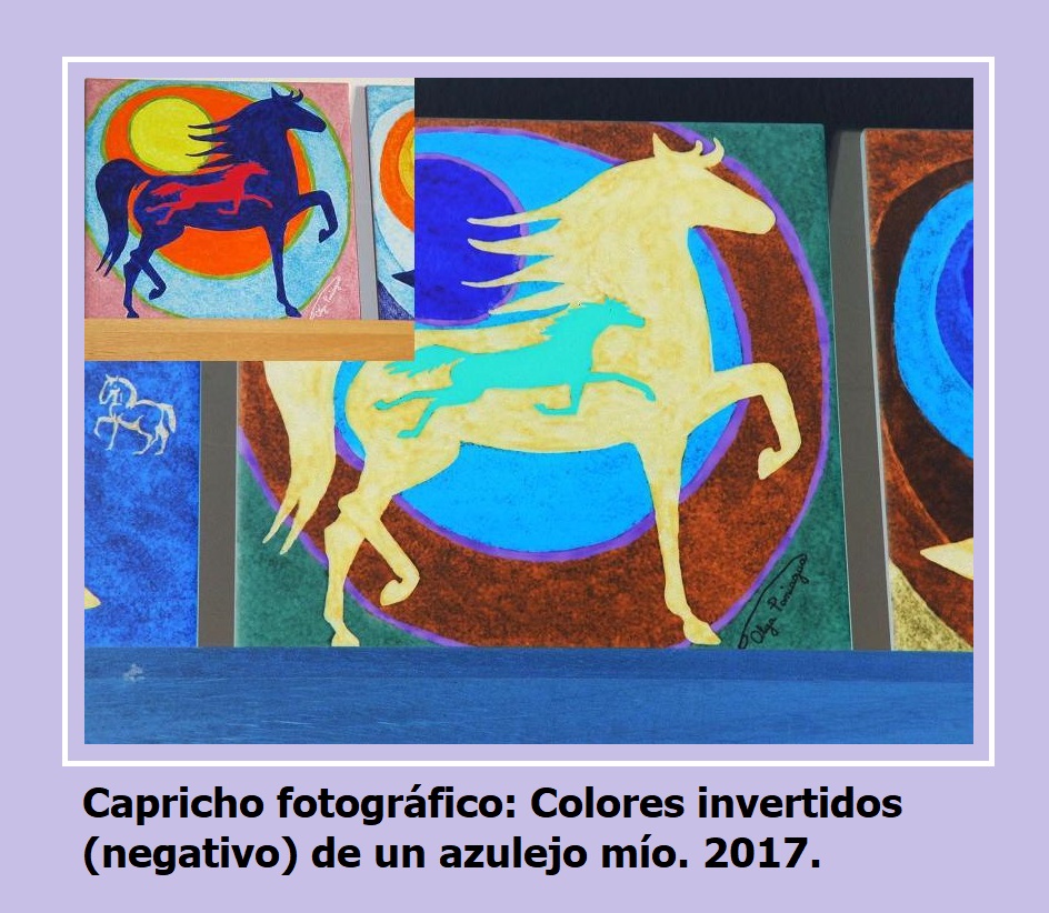 PINTORA OLGA PANIAGUA: FOTOS EN COLOR INVERTIDO