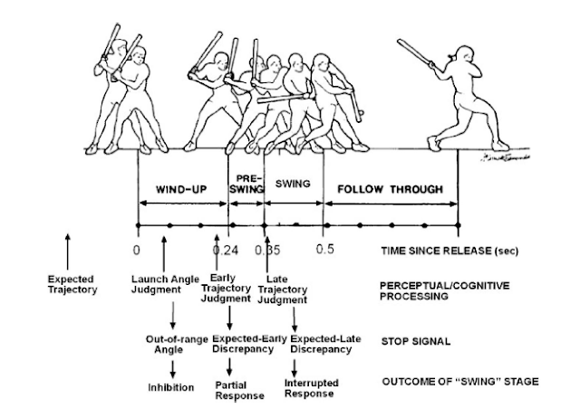 What force principles are used to hit a home run in Baseball?: Baseball ...