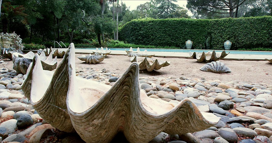 danger garden: The the other pool with clam shells, at Lotusland
