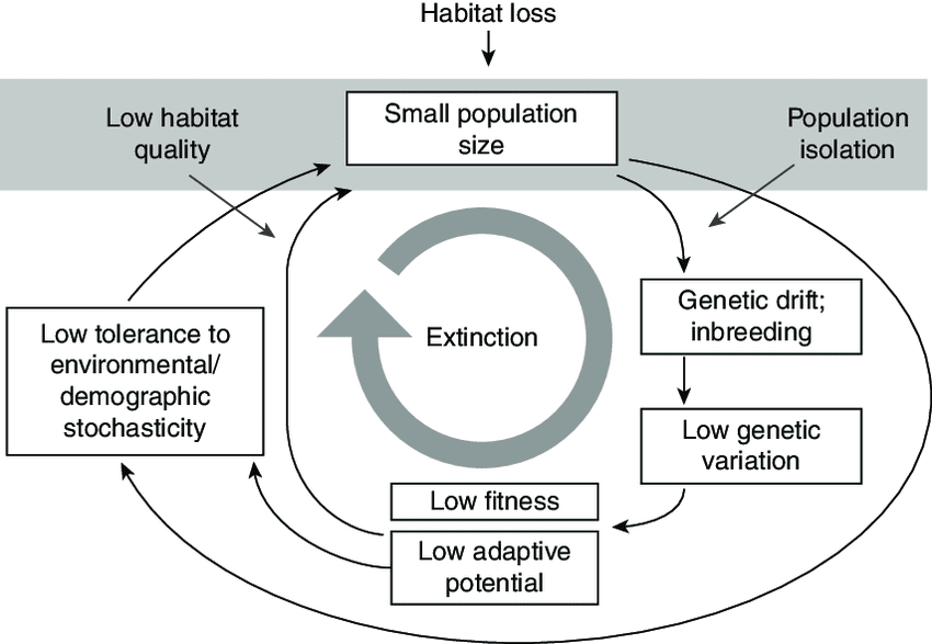 Montclair High School Bio Blog: Wildlife Conservation and the Battle ...