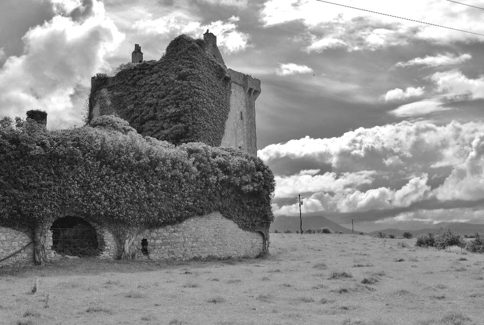 David Hicks: April 2014