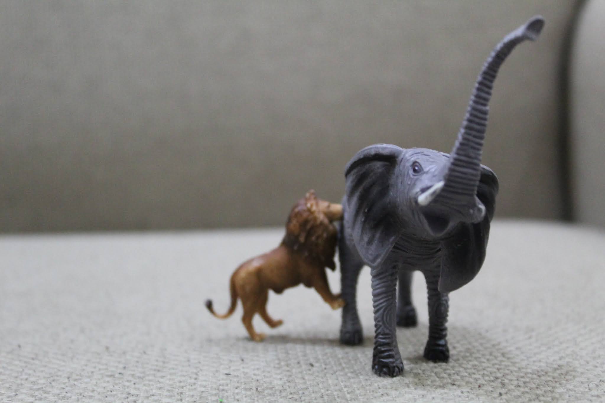 Rantai Makanan Singa Menggigit Gajah (Miniatur)