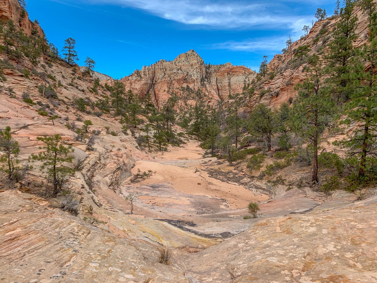 Jenny Peak & Jenny's Nipples Zion Peakbagging - First Church of The ...