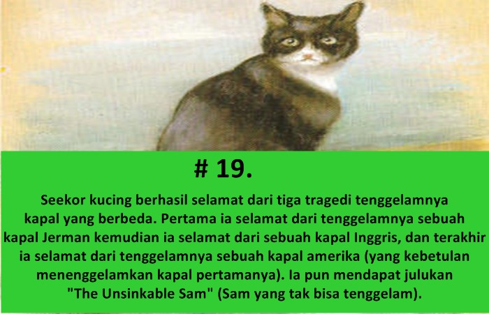 KUMPULAN FAKTA UNIK - PERANG DUNIA II | fakta dan misteri unik KUMPULAN FAKTA UNIK - PERANG DUNIA II | fakta dan misteri unik
