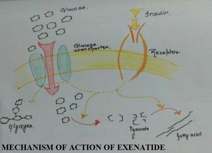 Pharmacology of Drugs: April 2018