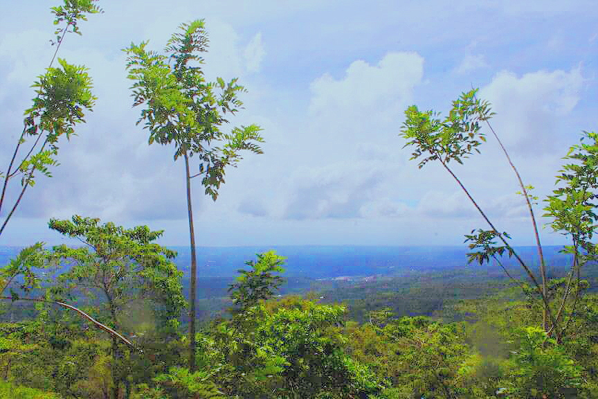 Puncak Tanawan - On High Nature Stretch