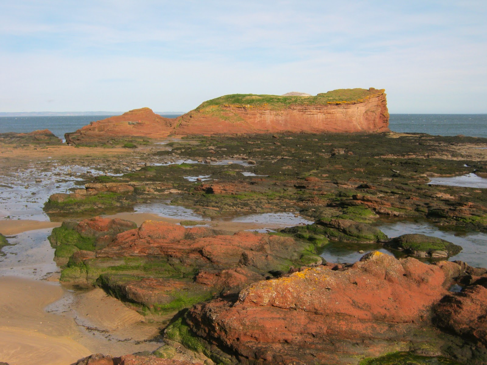 coastrider: Spring Tides Beach Rides...