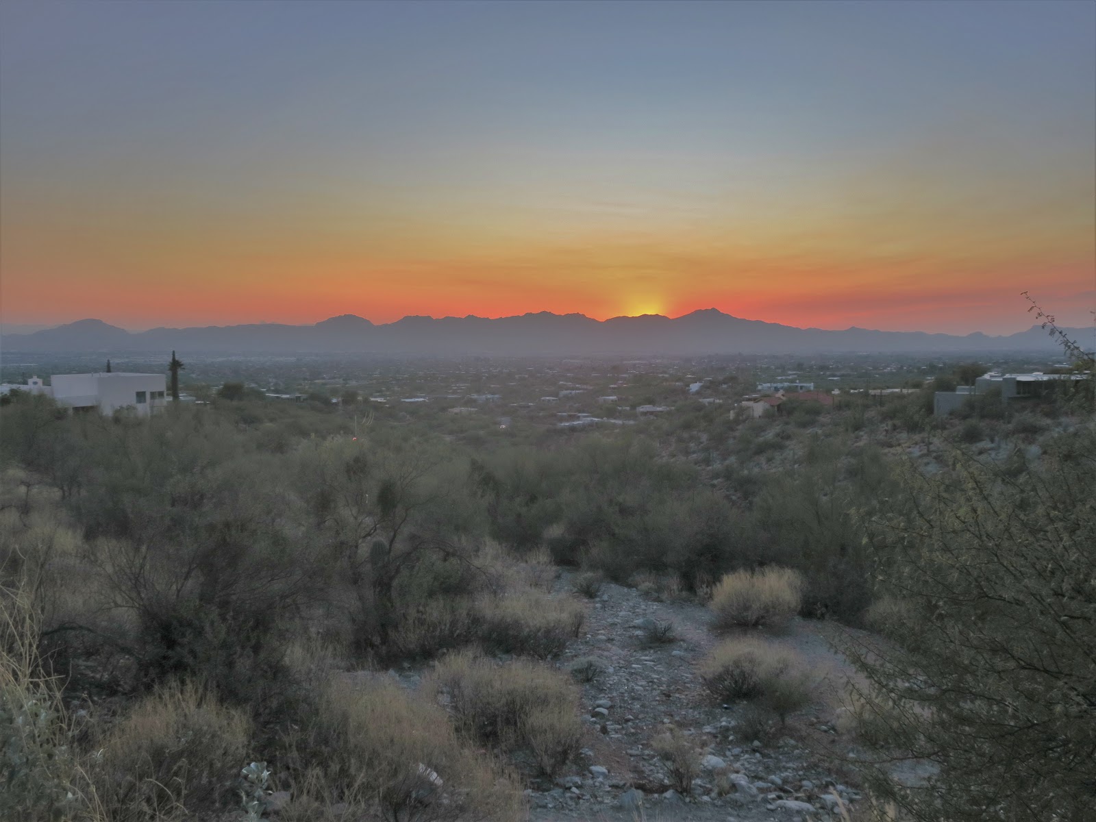 Living Rootless: Tucson, AZ: Sunset at Campbell Trailhead