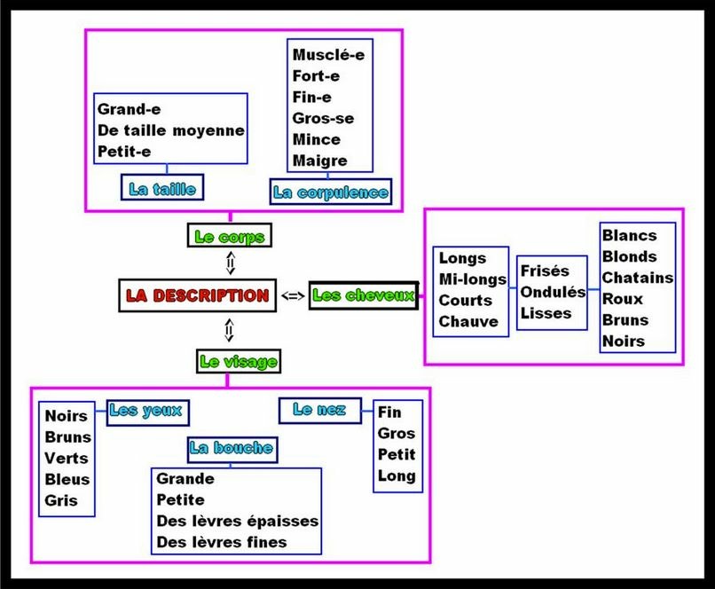 LA PROF DE FLE: Décrire l'aspect physique