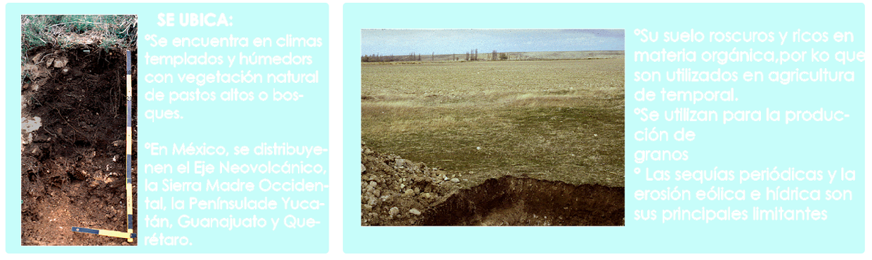 Tarea tipos de suelo