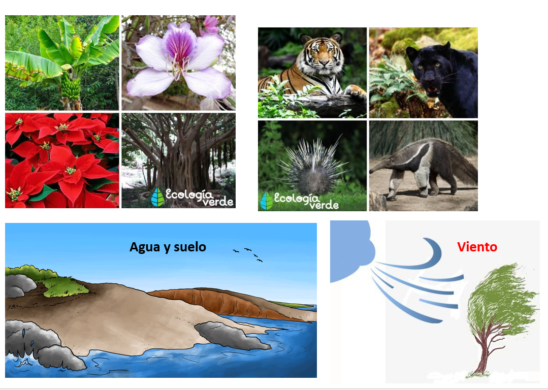 Catedra de paz 4D: ¿QUÈ SON LAS RIQUEZAS NATURALES?