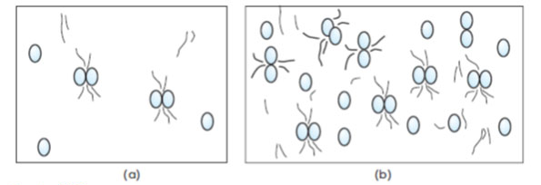 (a) tumbukan pada konsentrasikecil (b) tumbukan pada konsentrasi besar