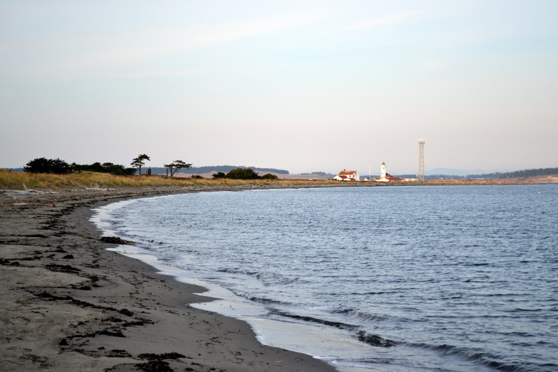 Cynful Musings: Monday + DST