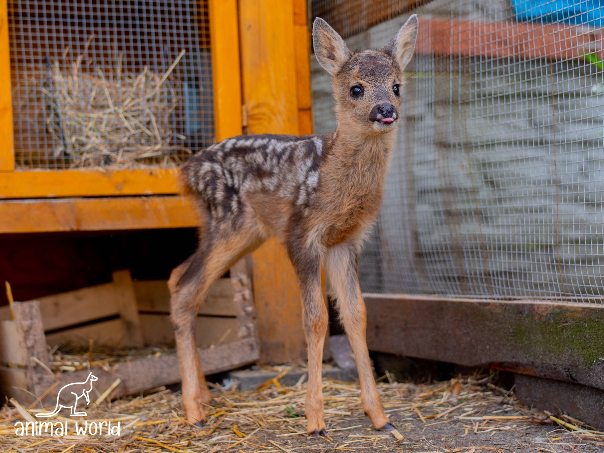 [śląskie] Atrakcje dla dziecka na Śląsku w POGODĘ - vol. 7
