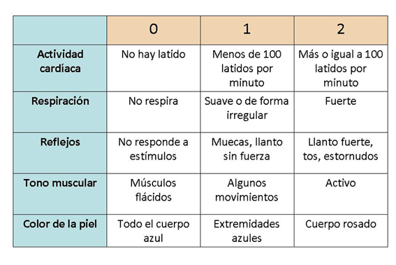 ENFERMERIA DEL RECIEN NACIDO,INFANCIA Y ADOLESCENCIA ( ERNIA): TEST DE ...
