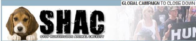 Debate (A): El Modelo SHAC, un caso de acción directa a conocer y ...