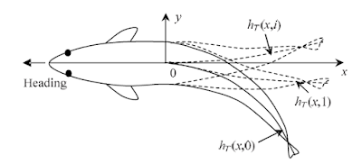 Virginia Tech Ichthyology Class : Crevalle Jack: Fish, Fishing, and ...
