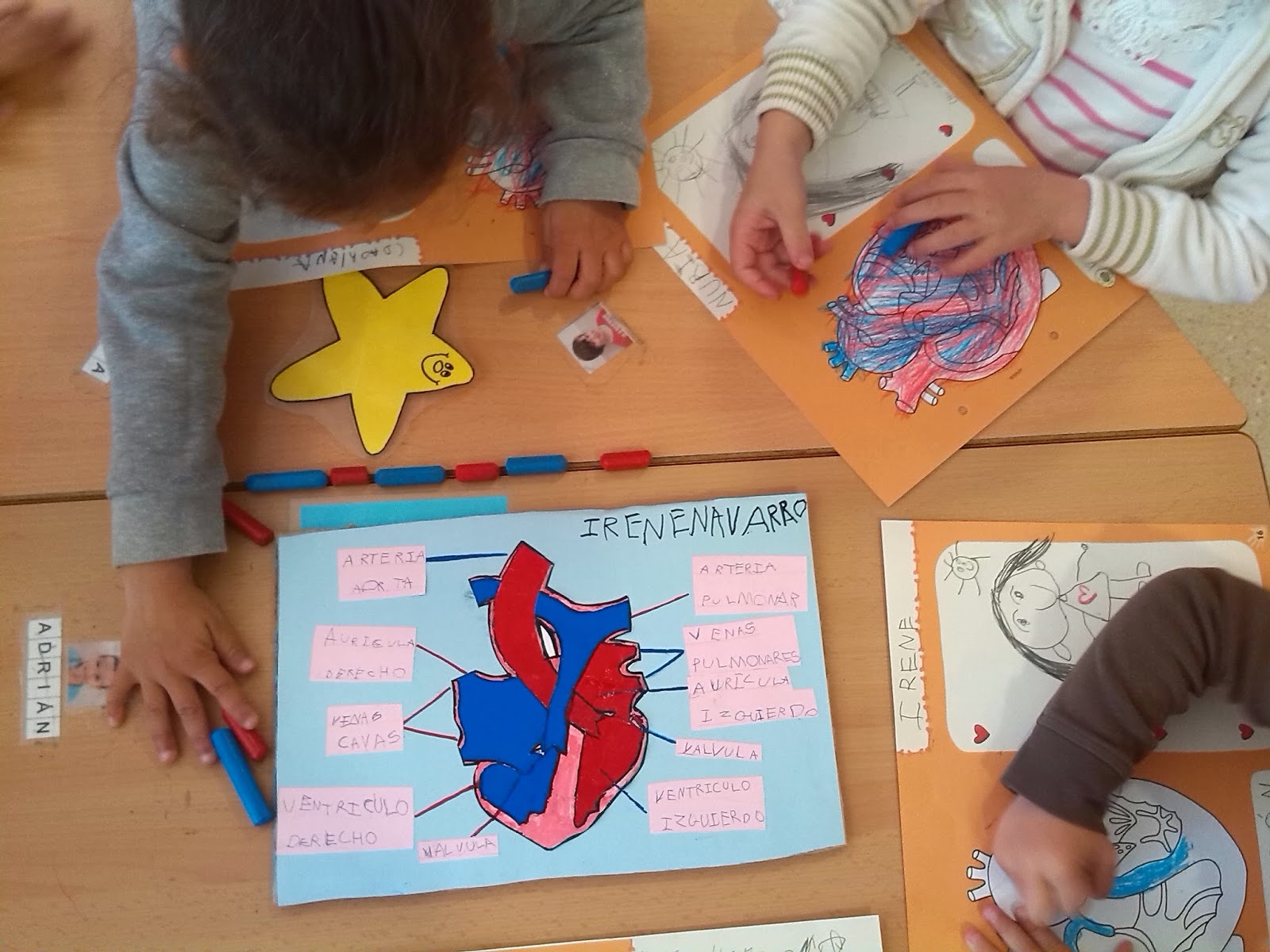 EDUCACIÓN INFANTIL curso 2014/2015: El motor del cuerpo: el CORAZÓN