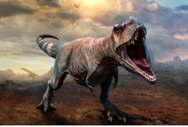 T-Rex / Tyrannosaurus