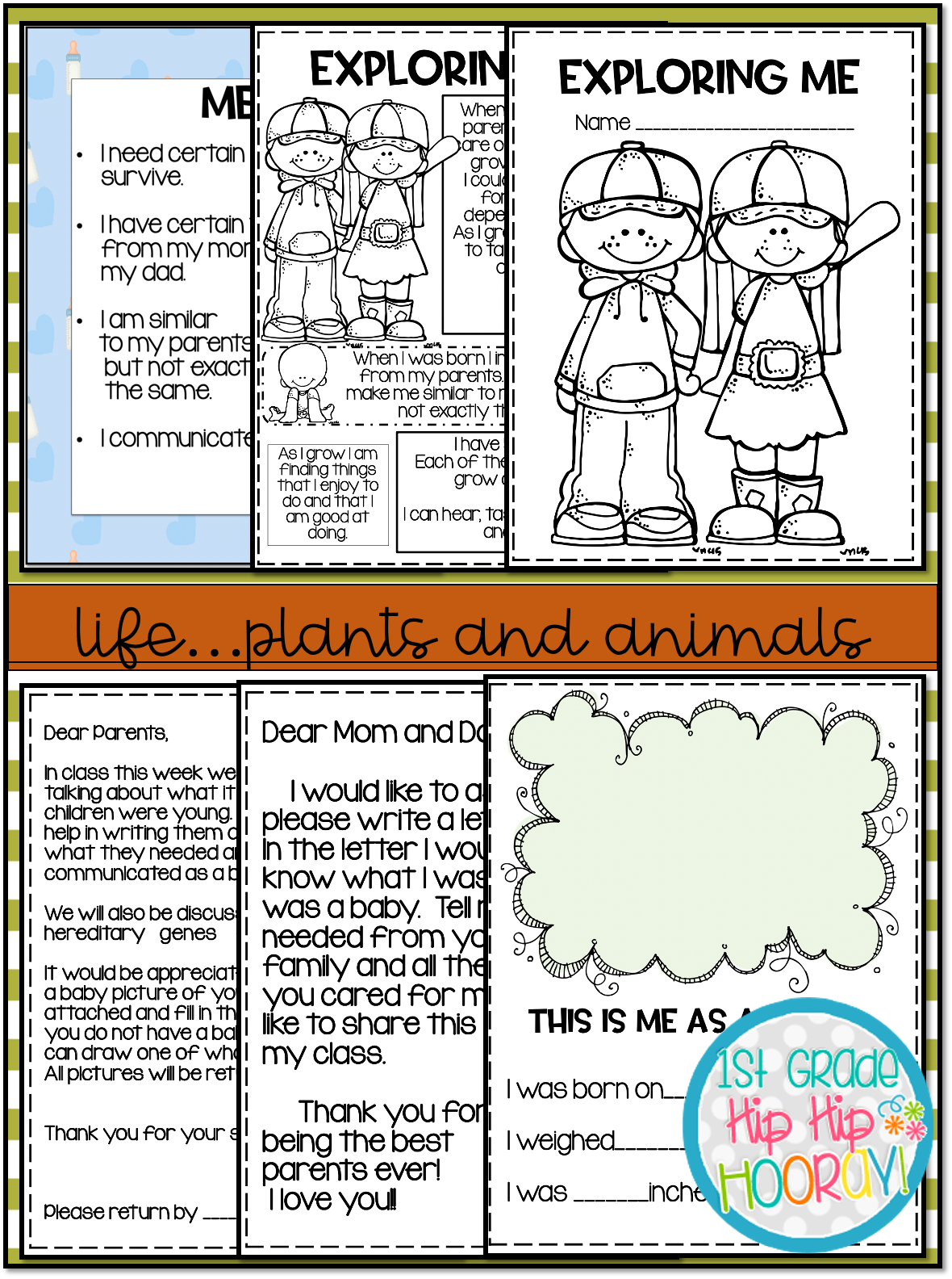 1st Grade Hip Hip Hooray!: NGSS... Life Science...Exploring Plants and ...