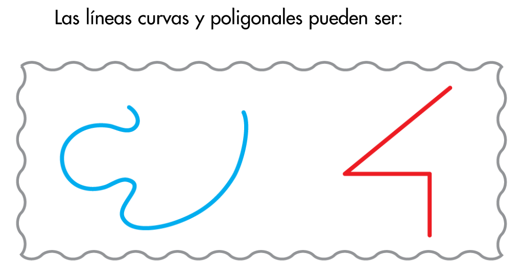 1º DE PRIMARIA CEIP ELVIRA LINDO: LÍNEAS RECTAS, CURVAS Y POLIGONALES ...