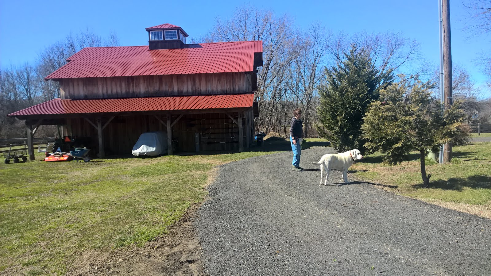 Earth2Fork- Farm Fresh Organic Recipes: Spinach, Not Just for Popeye