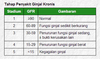 Analis Kesehatan Sederhana: Faal Ginjal