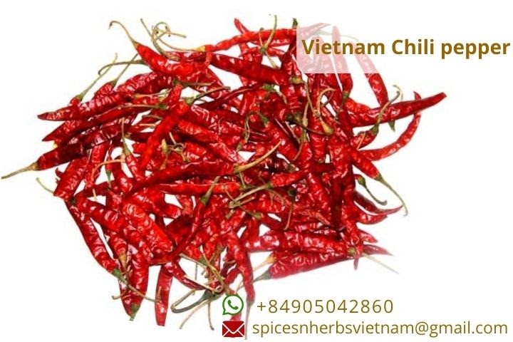 VIETNAM DRIED RED CHILI PEPER