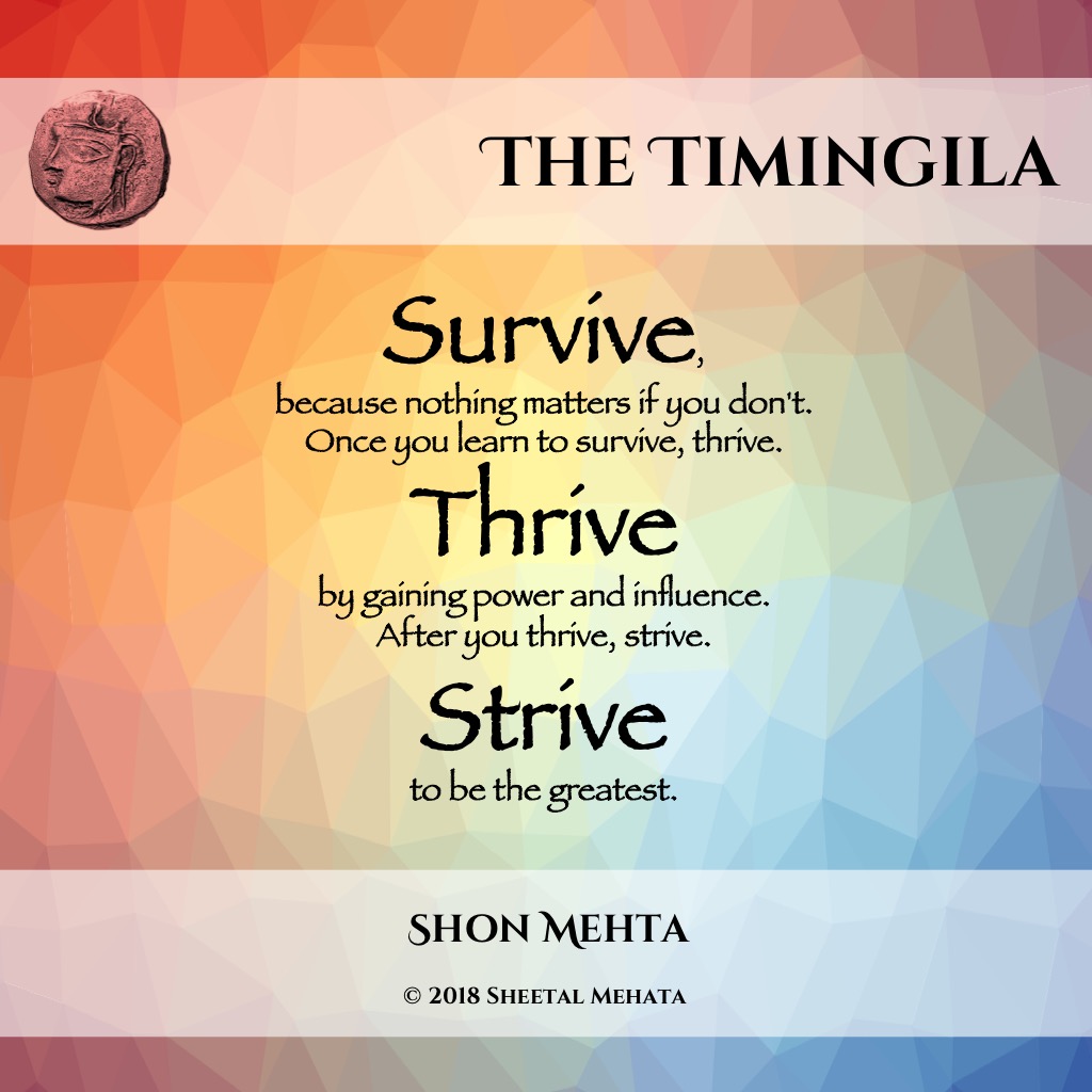 Shon Mehta (Author of The Timingila)