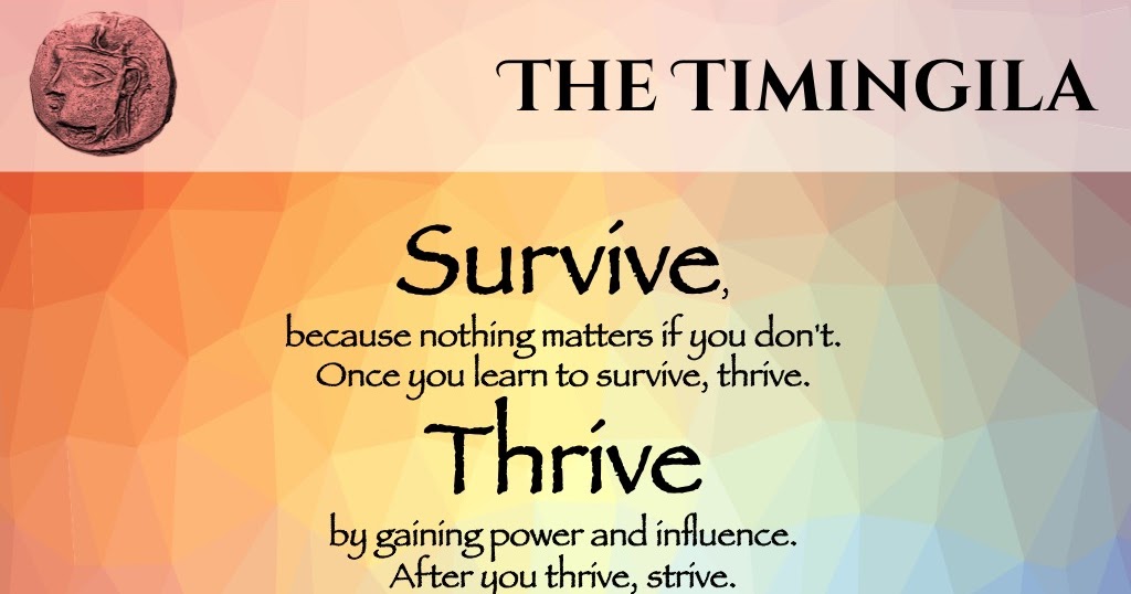 Shon Mehta: Ten Things To Learn From 'The Timingila'