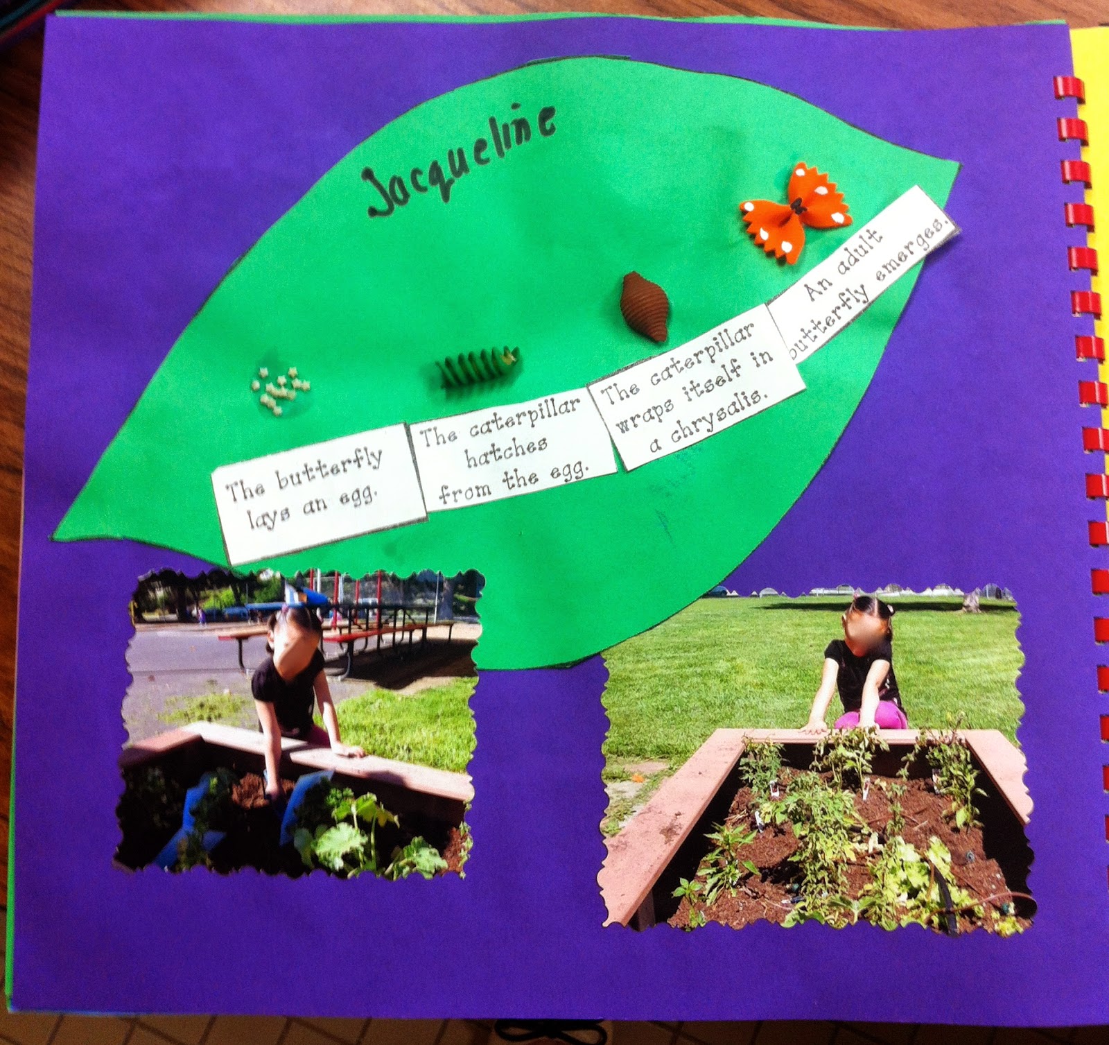 KFUNdamentals: 1, 2, 3, Classroom Set-up: Year-round Bulletin Boards ...