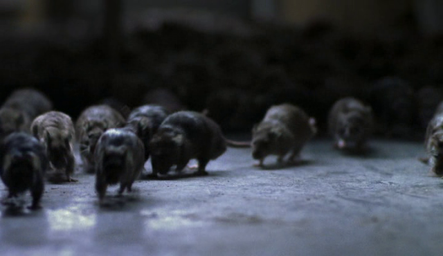 El Abismo Del Cine: Las mejores películas de ratas y ratones