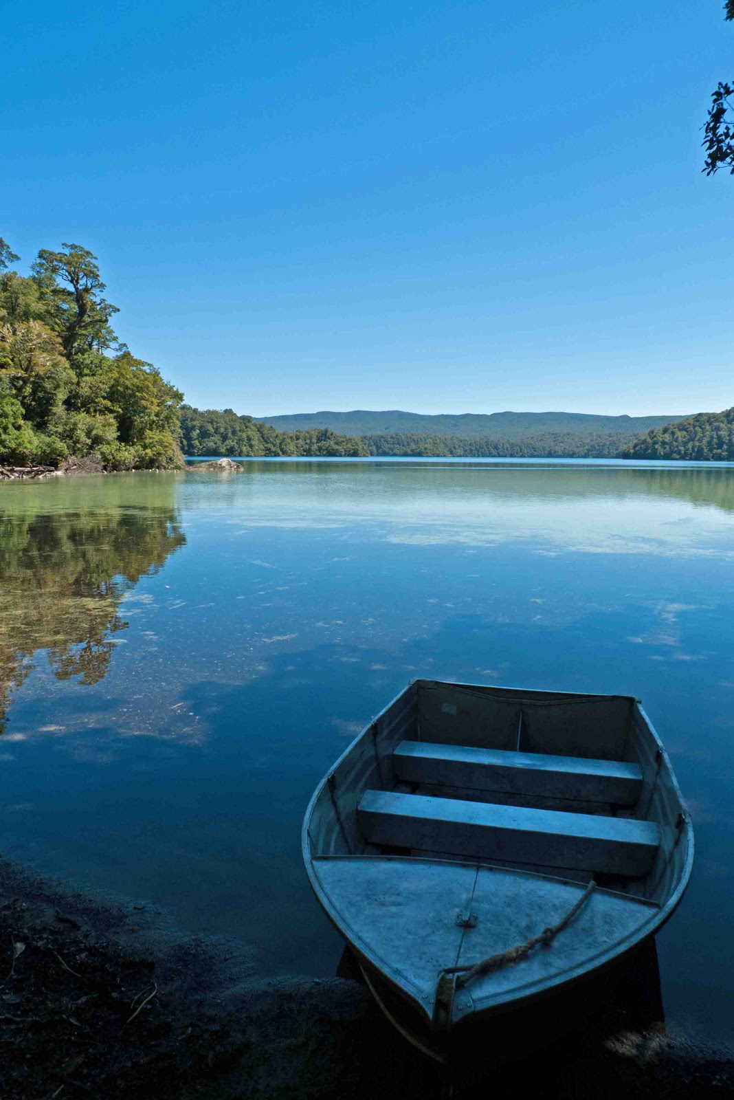 KiwiLand2012: Te Urewera national park