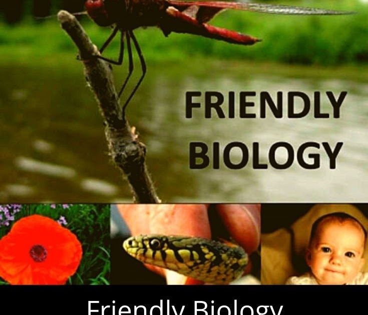 Homeschool On the Range: Ease into Science with Friendly Biology {Review}