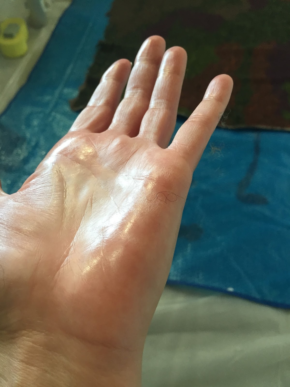 ANDREA GRAHAM : 2015