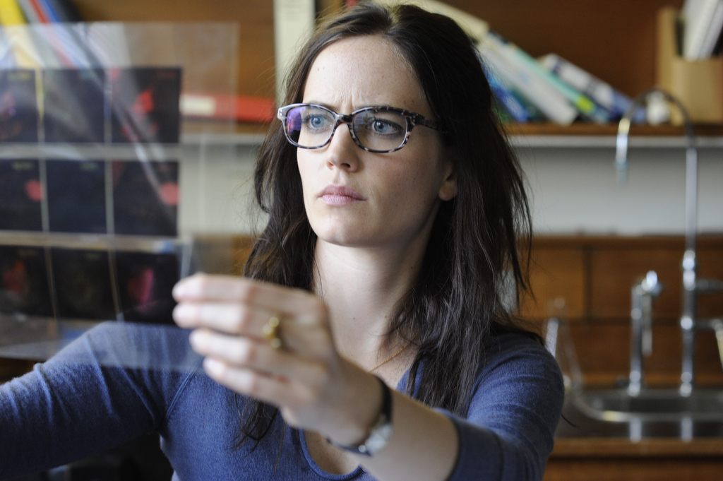 F This Movie!: Making Perfect Sense of Perfect Sense