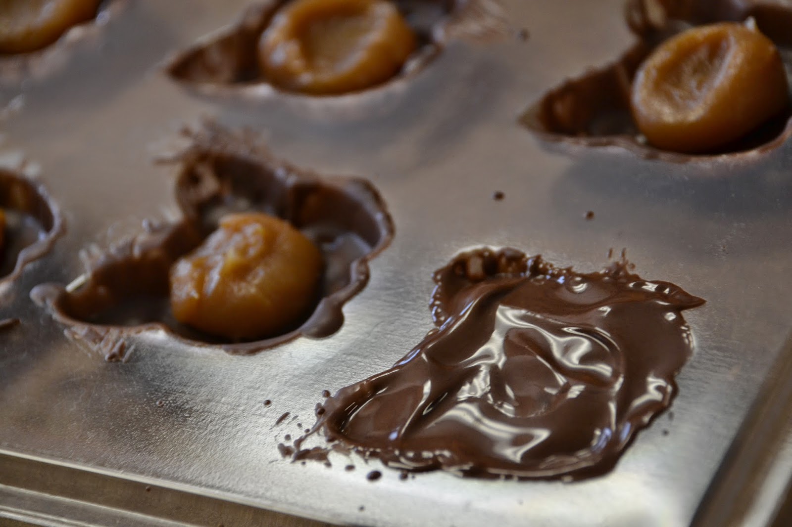 Quest 30: Golden Bug Chocolates - The Zelda Gourmet