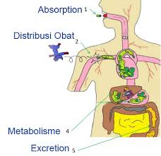 Edukasi Farmasi: EDISI FARMAKOLOGI - PRINSIP FARMAKOKINETIKA