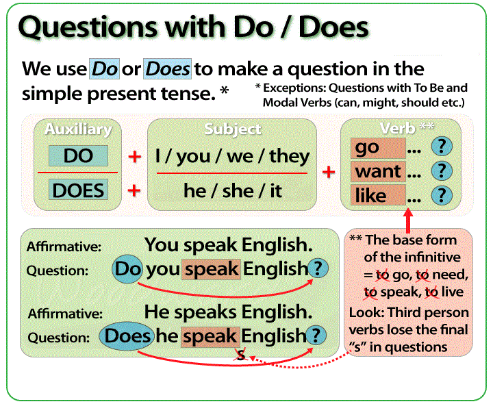 My school: Do / Does ----5th