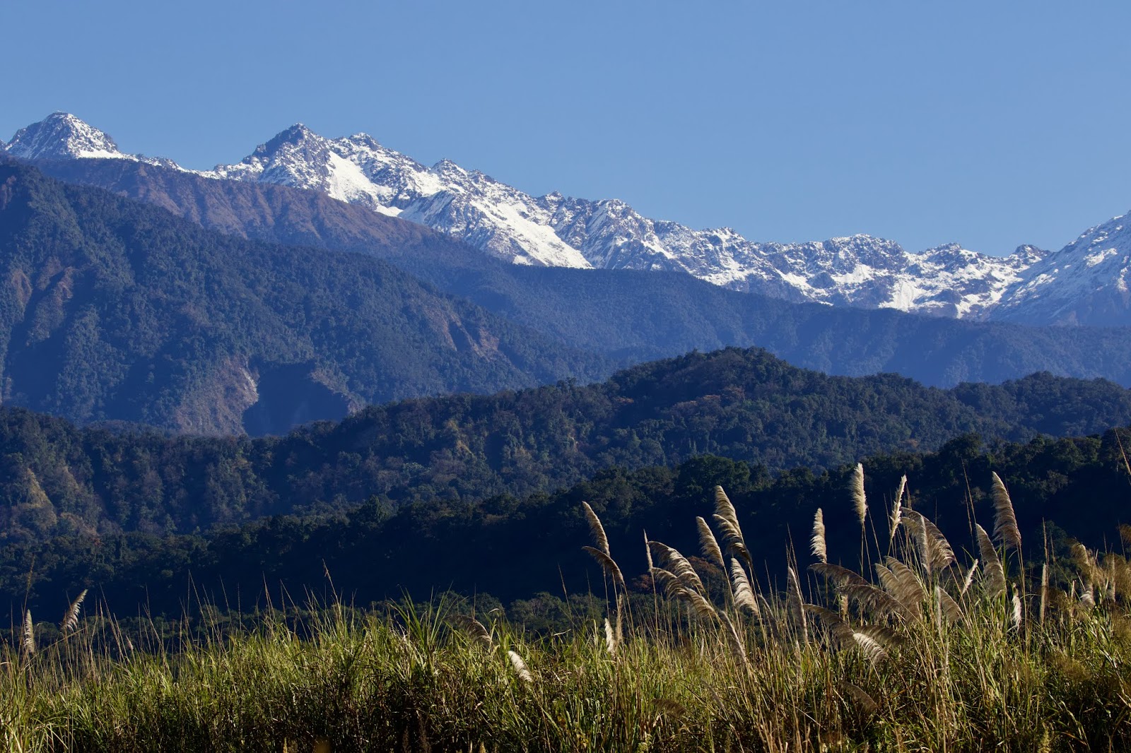 Namdapha National Park - Pure Wilderness