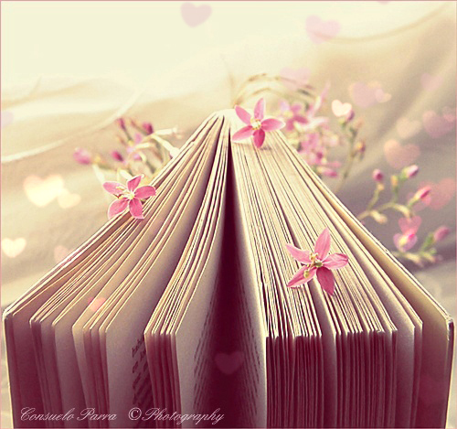 Imagini cu cărţi | StolenIMG