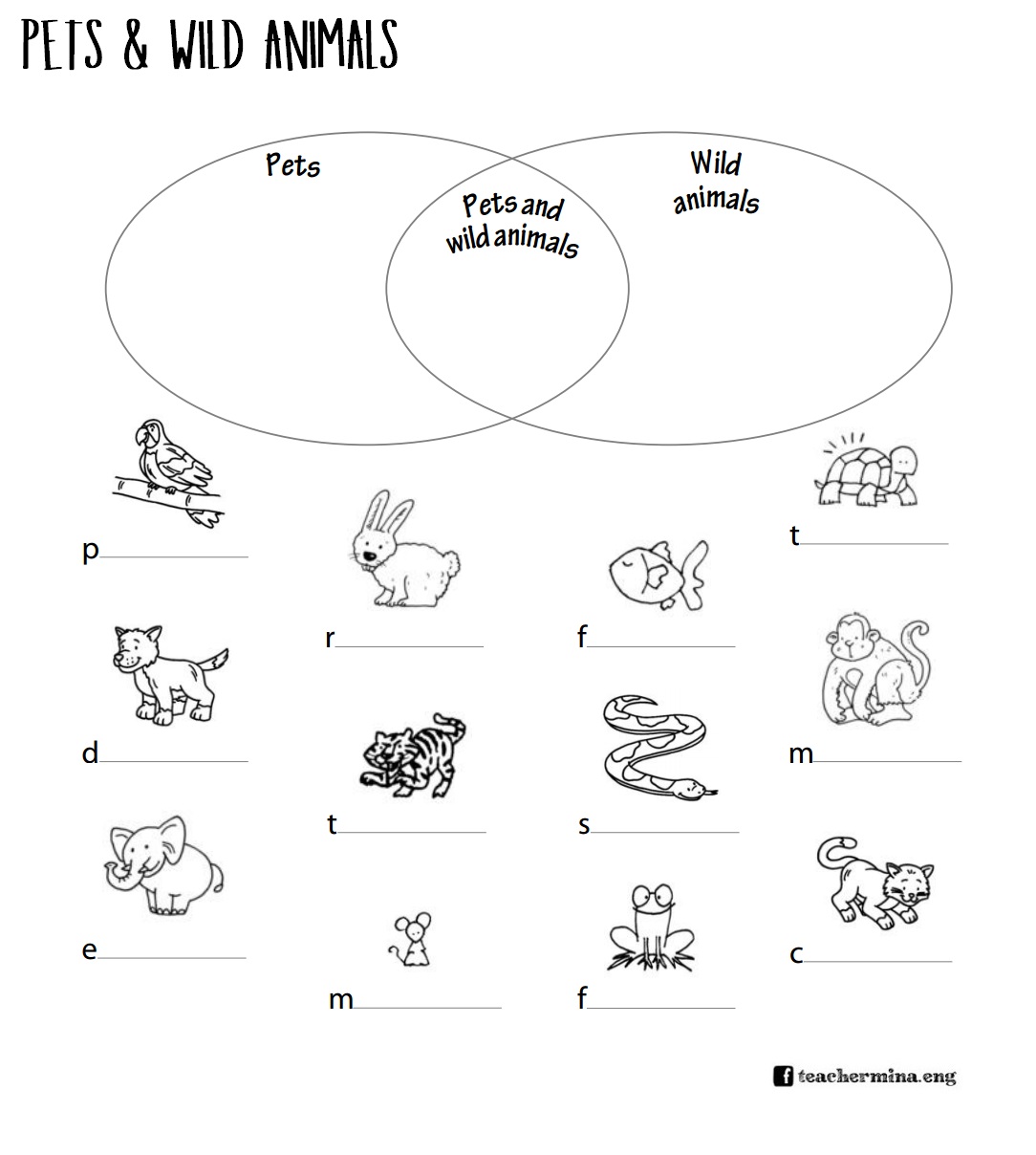 Teachermina: [activity] pets and wild animals