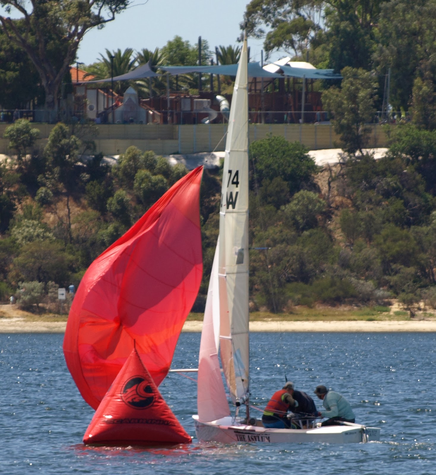 Observations in an undemocratic world: Race 7 - Australian Sharpie ...